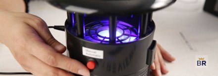 5 Best Insect Traps - June 2025 - BestReviews