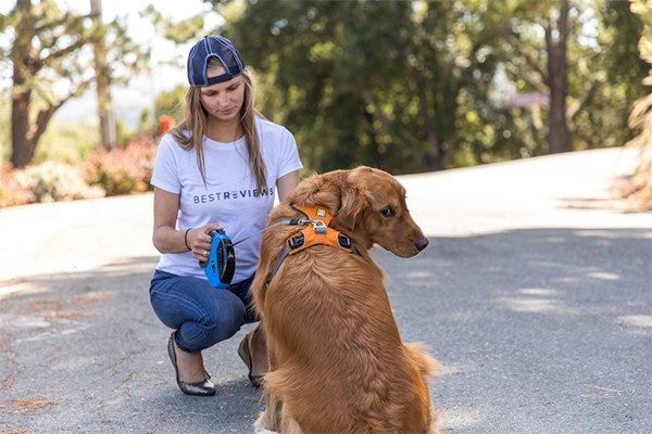 5 Best Retractable Dog Leashes - Mar. 2025 - BestReviews