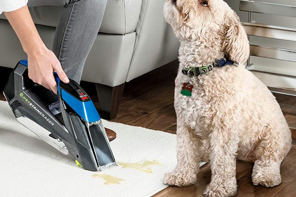 5 Best Spot Cleaners - Apr. 2025 - BestReviews