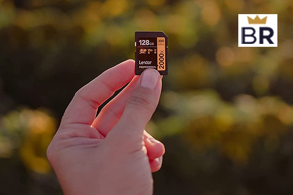 5 Best SD Memory Cards - Jan. 2023 - BestReviews