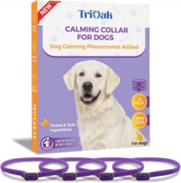 5 Best Calming Dog Collars - Feb. 2024 - BestReviews